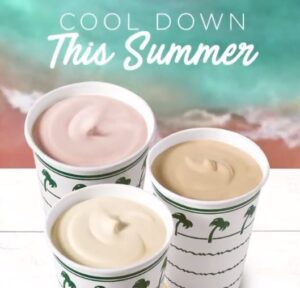 In N Out Drinks Menu [Updated 2026]