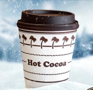 In N Out Drinks Menu [Updated 2026]